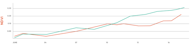 A Guide to Normalized Difference Vegetation Index (NDVI) - Arable