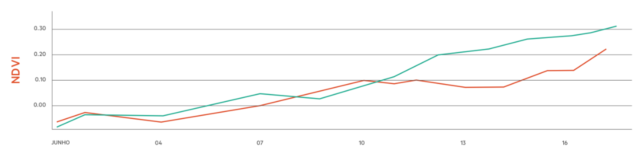 Um Guia sobre o Índice de Vegetação por Diferença Normalizada (NDVI ...