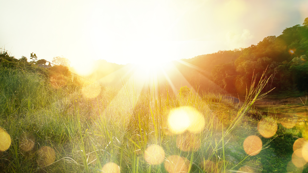 A Guide to Shortwave Solar Radiation and Its Derivatives - Arable