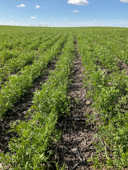 Richardson International Uses Arable Crop Intelligence to Fine-Tune ...