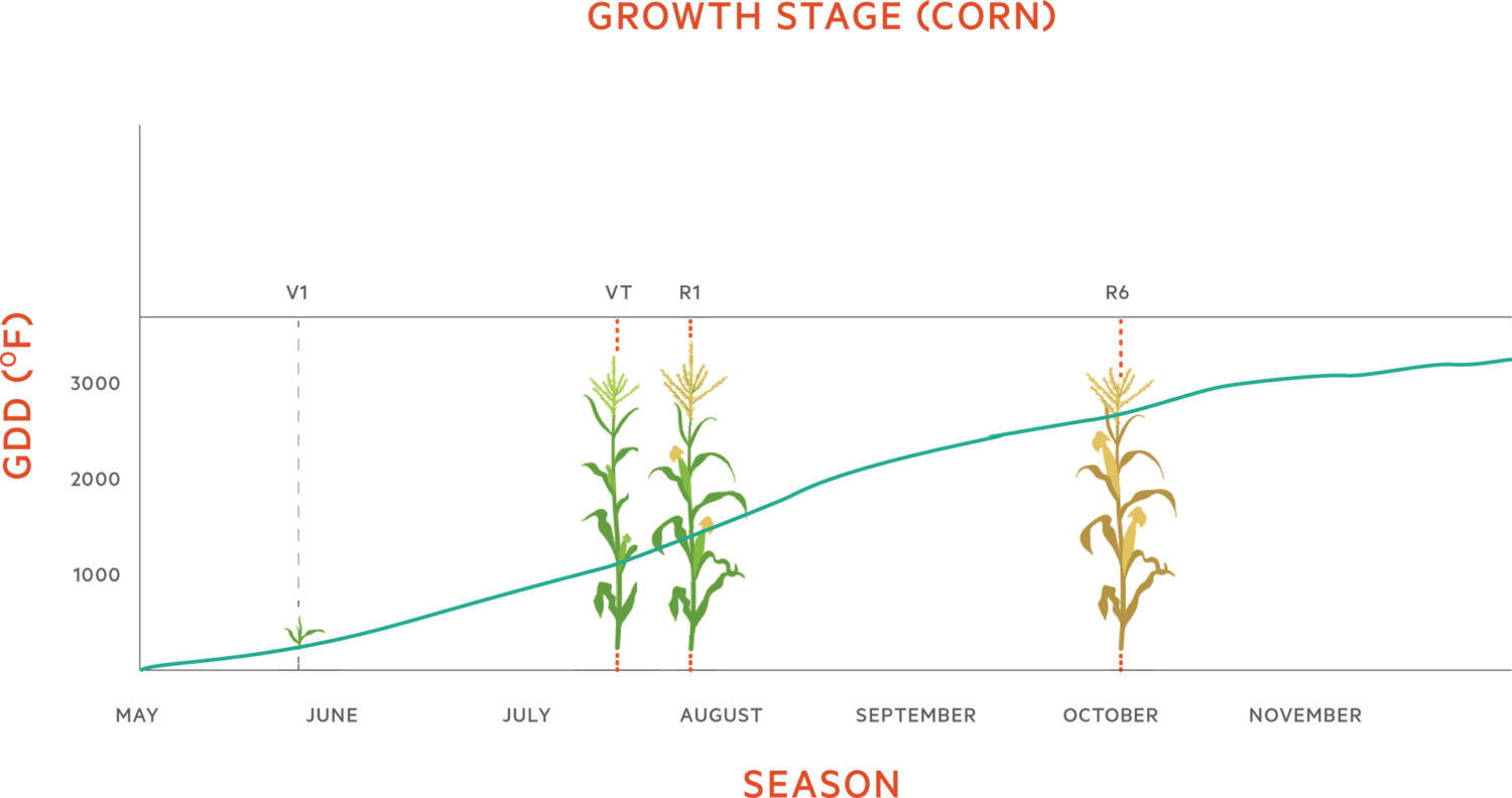A Guide to Growing Degree Days (GDD): Linking Temperature and Crop Growth Stages - Arable