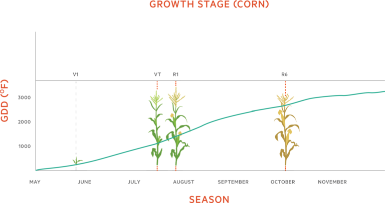 A Guide to Growing Degree Days (GDD): Linking Temperature and Crop ...