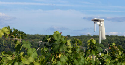 3 AgTech Innovations Advancing Sustainable Winegrowing - Arable