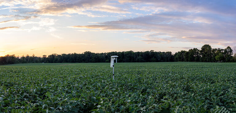 Best Time to Spray: 4 Ways In-Field Crop Monitoring Can Help - Arable