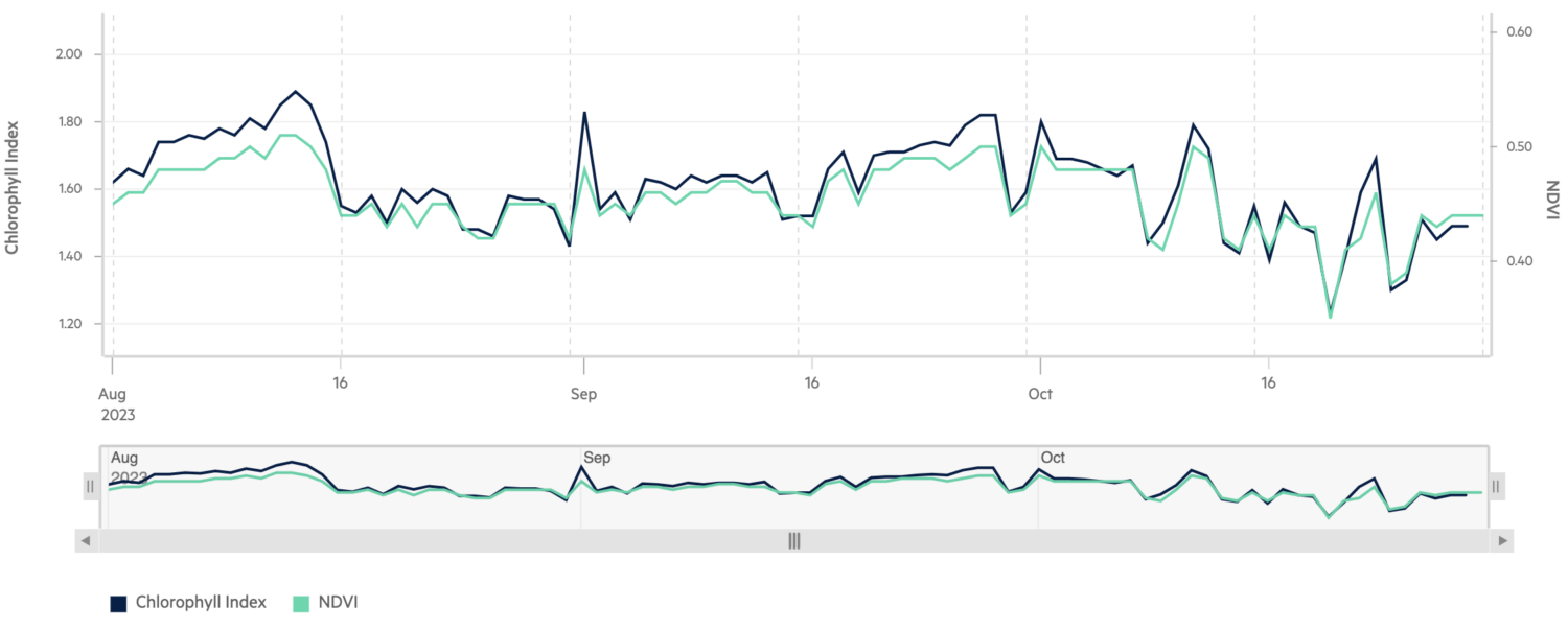 A Guide to Chlorophyll Index: A Key Indicator of Plant Health - Arable