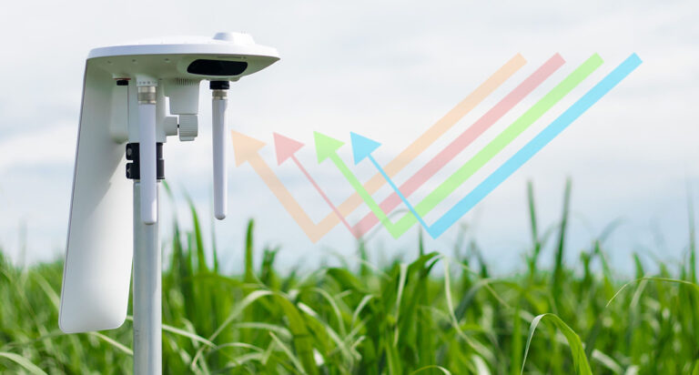 A Guide to Chlorophyll Index: A Key Indicator of Plant Health - Arable