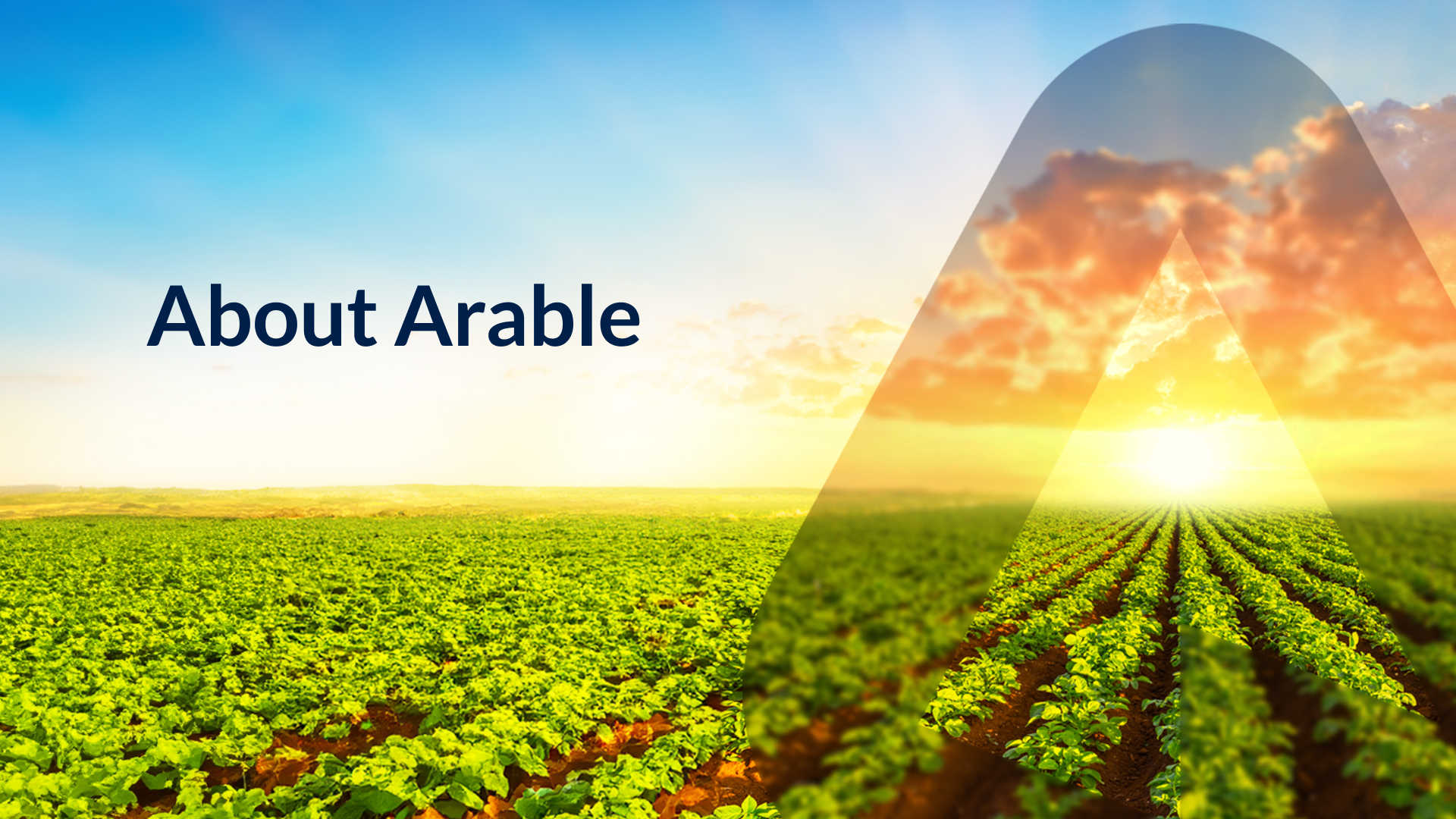 Company Overview | Arable