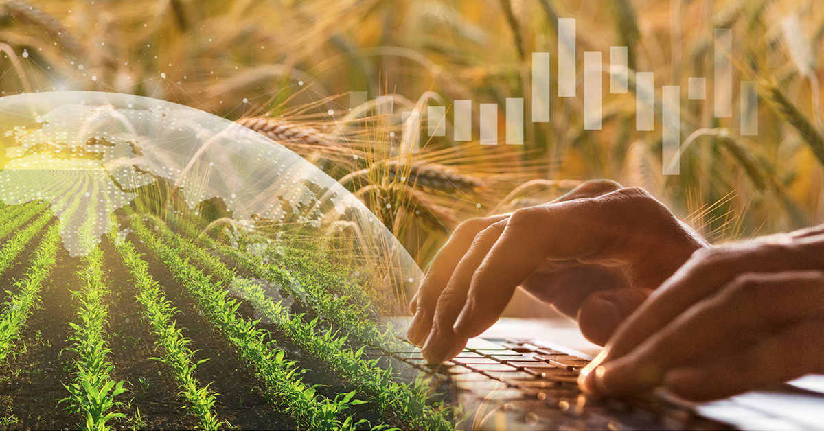 Hassle-Free In-field Sensing & Monitoring for Breeding & Research | Arable