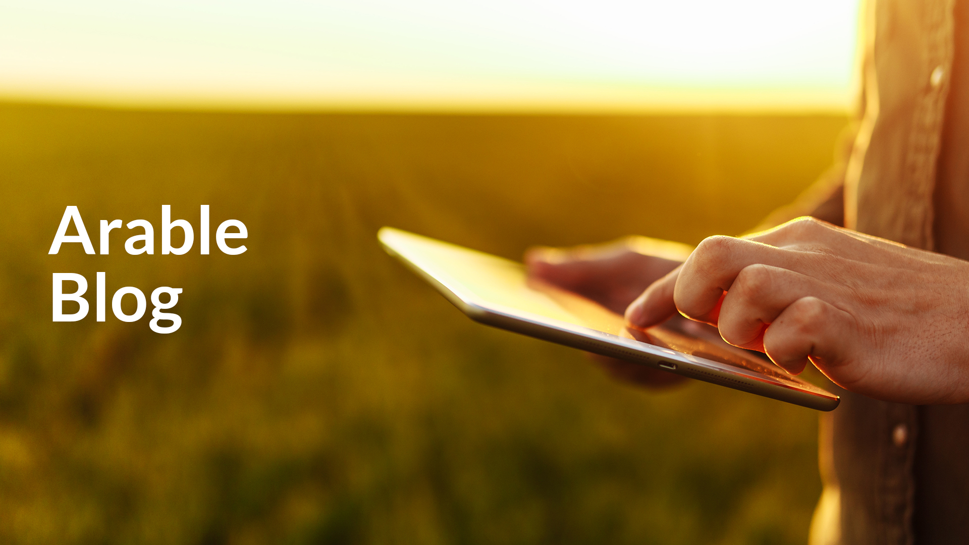 Blog | Arable