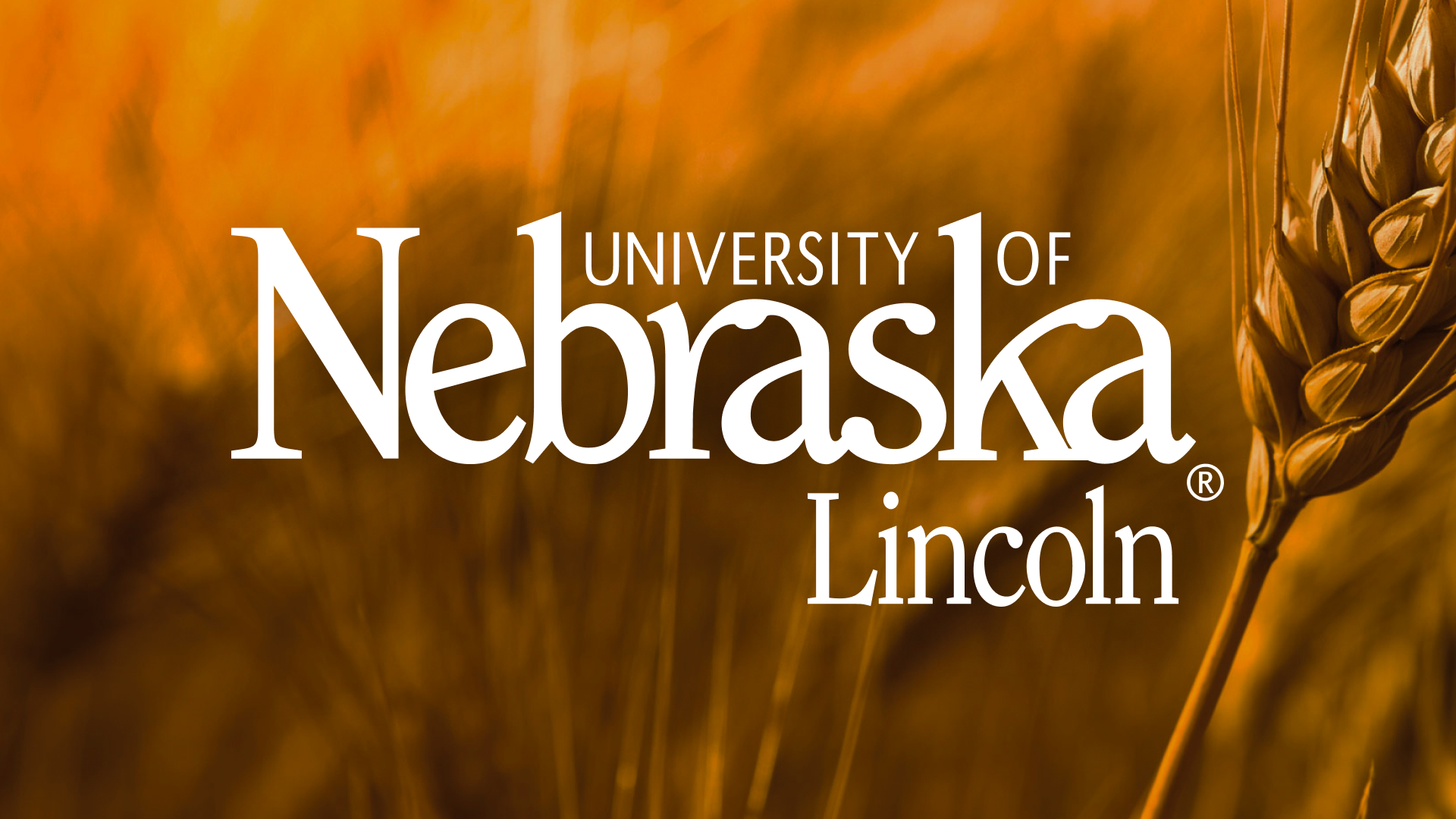 Breeding for a Changing Climate - Arable
