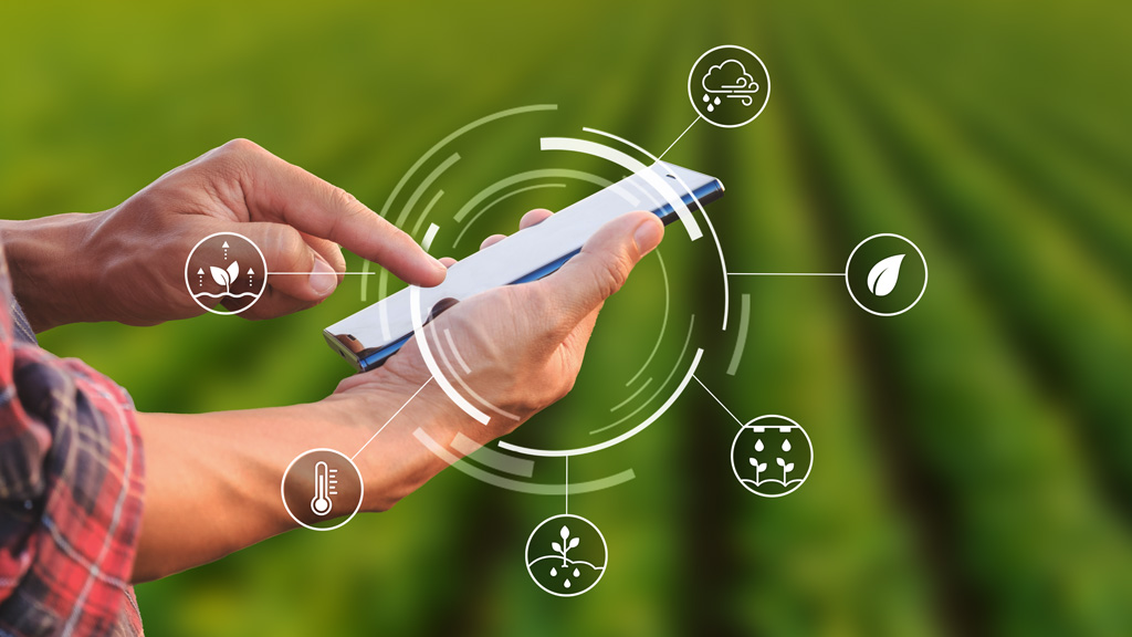 Arable Crop Intelligence System Overview